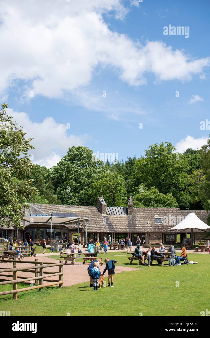 Restaurant beechenhurst forest hi-res stock photography and images - Alamy