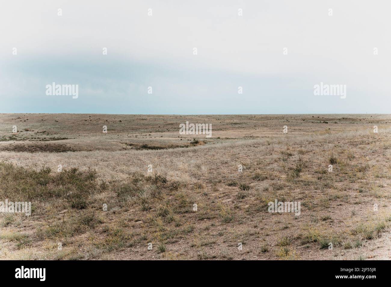 Steppe climate hi-res stock photography and images - Alamy
