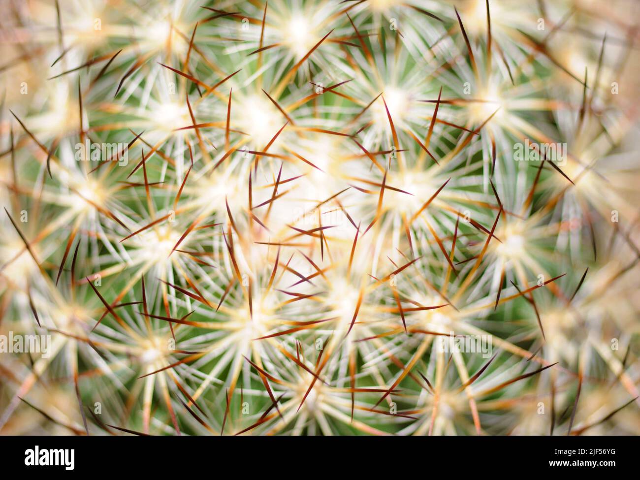 Agony needle hi-res stock photography and images - Alamy
