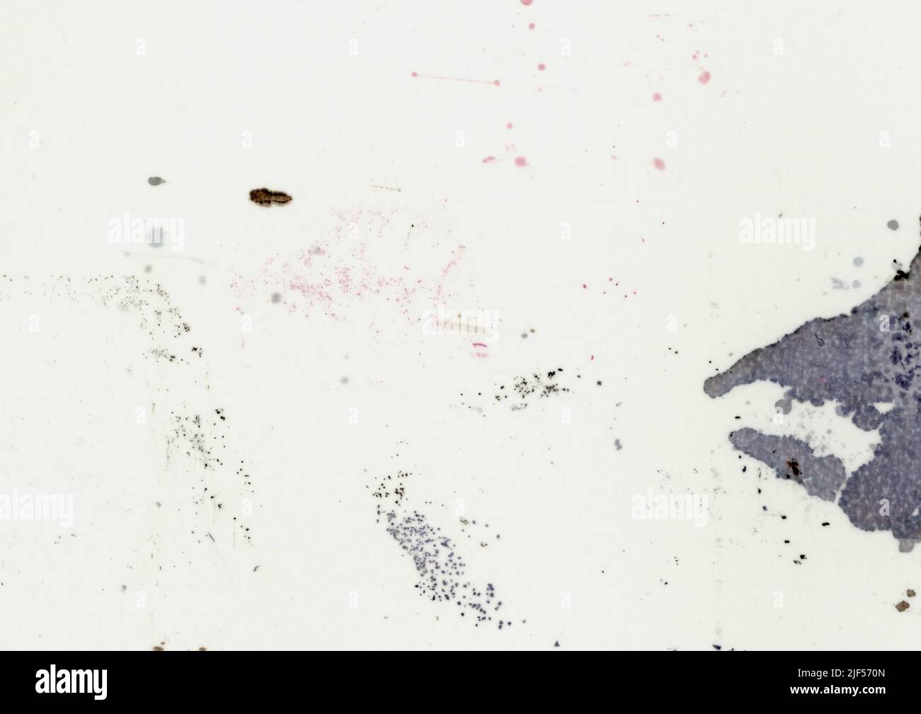 Large white blotches hi-res stock photography and images - Alamy