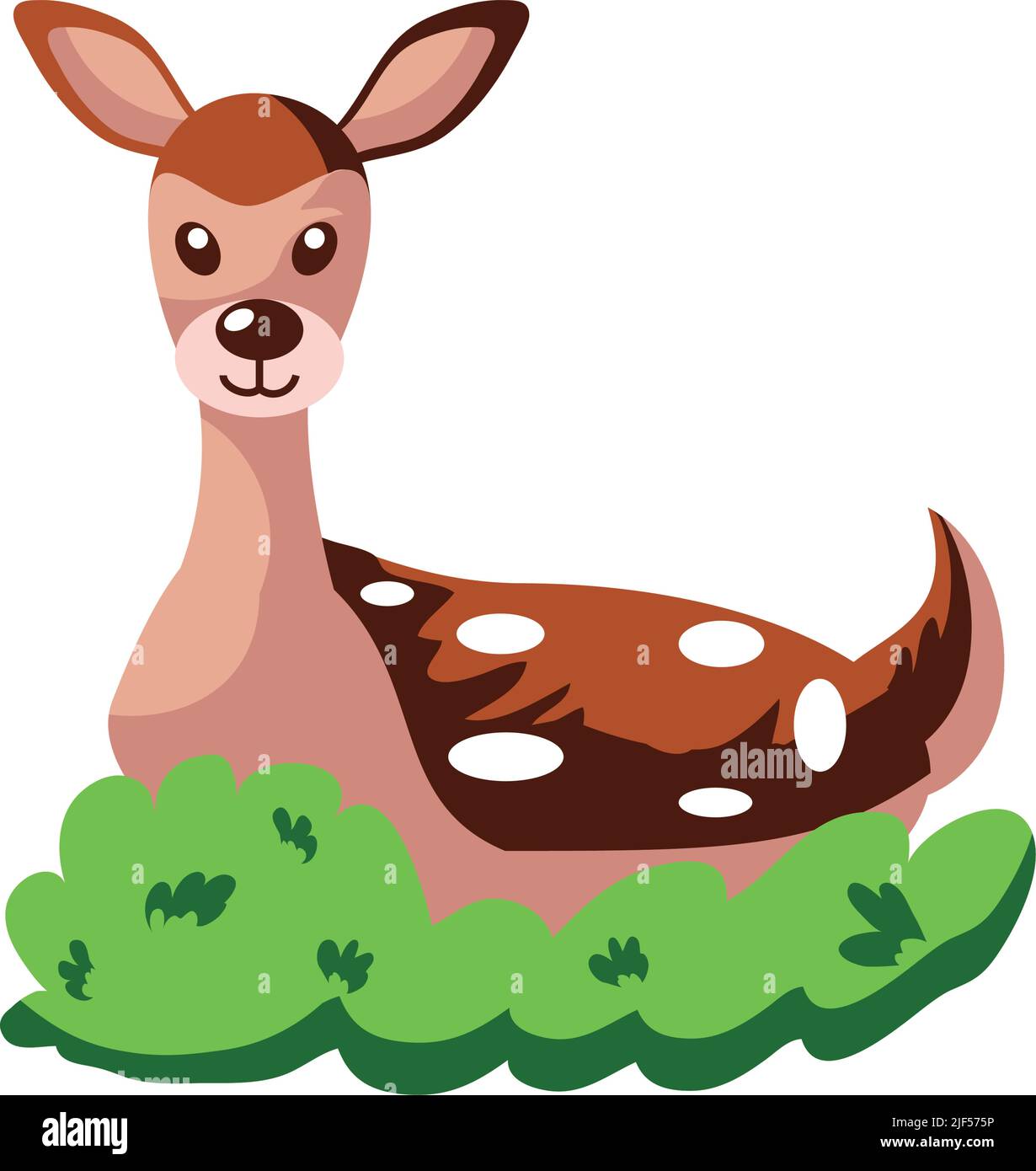 cute deer in grass Stock Vector Image & Art - Alamy