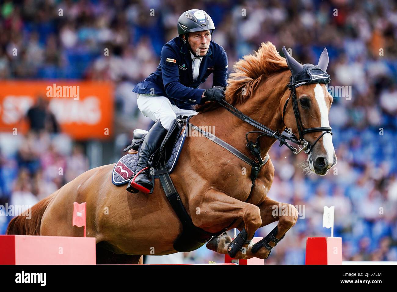 Horse hans dieter dreher hi-res stock photography and images - Alamy