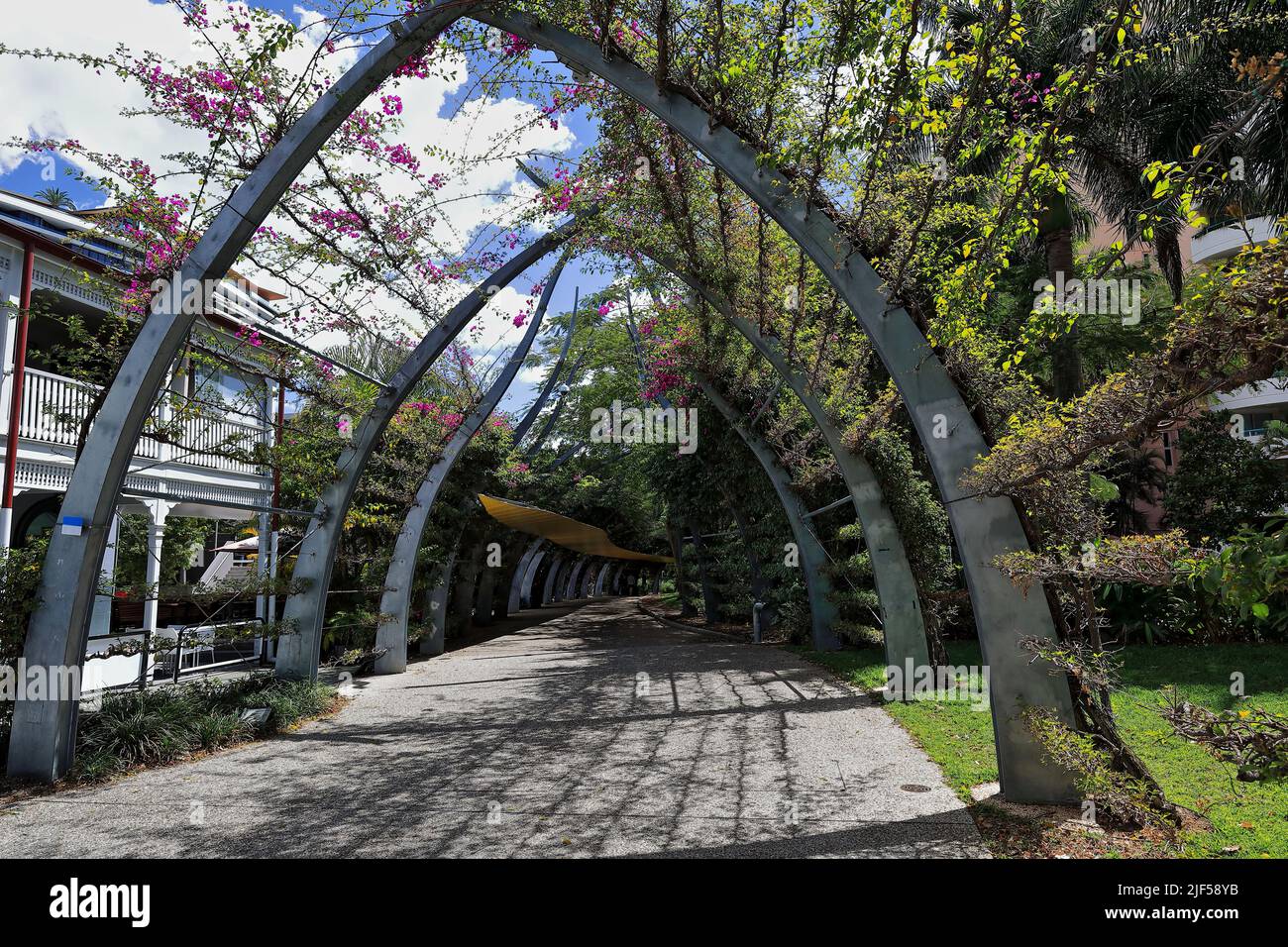029 The South Bank Grand Arbour pedestrian walkway is a kilometre long ...