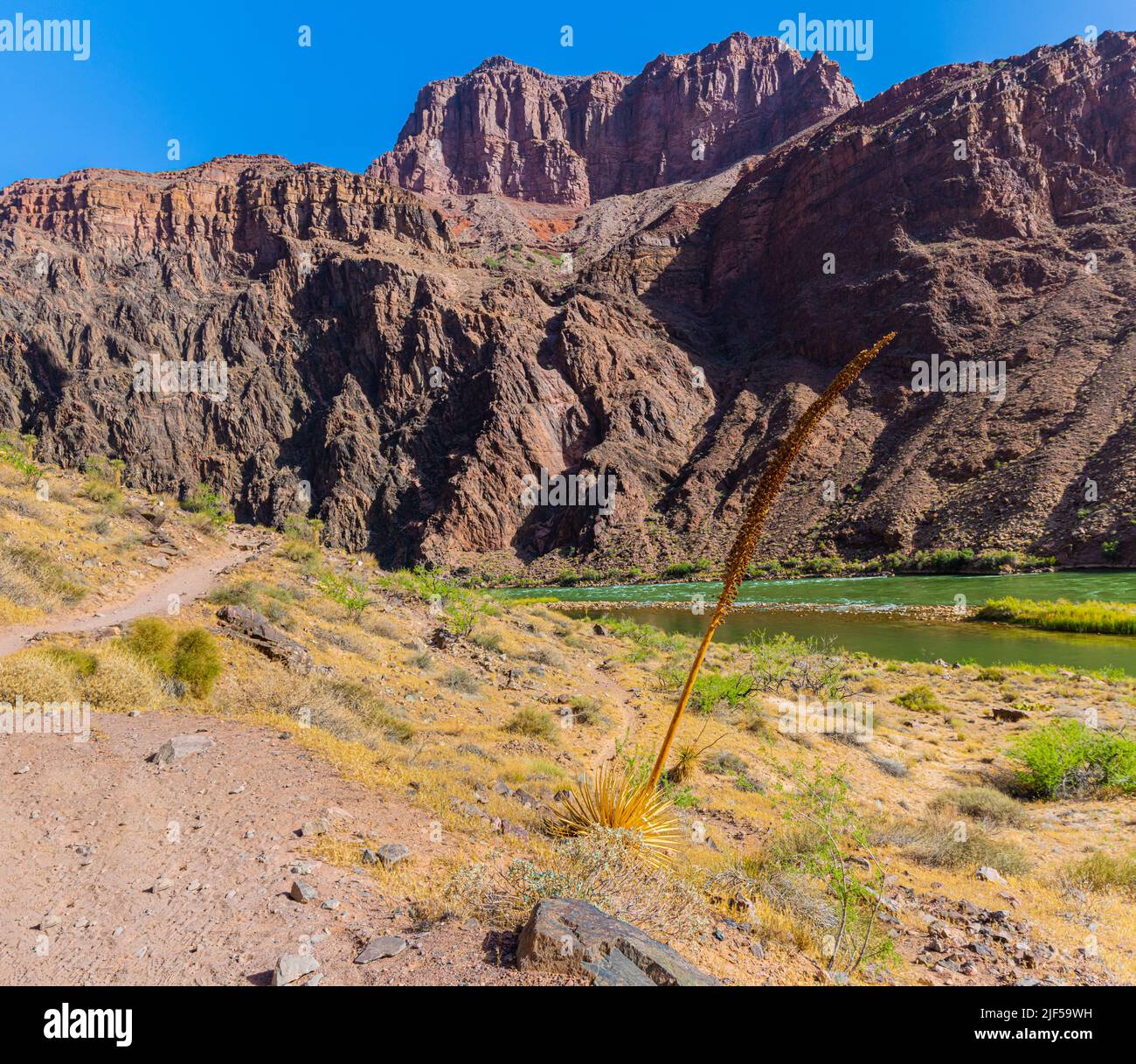The Colorado River and Surrounding Canyon Walls, River Trail, Grand ...