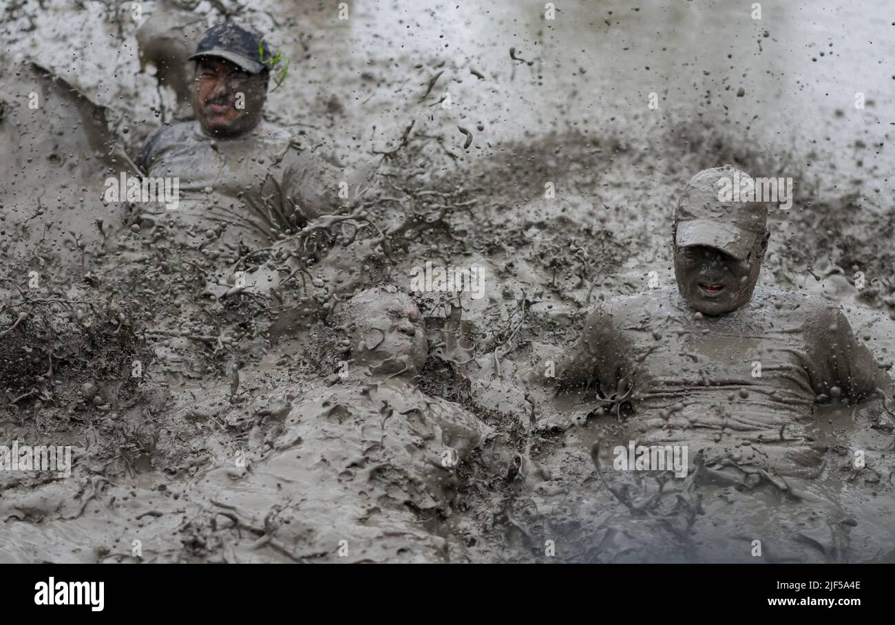 People play in mud water in a paddy field during the National paddy day ...
