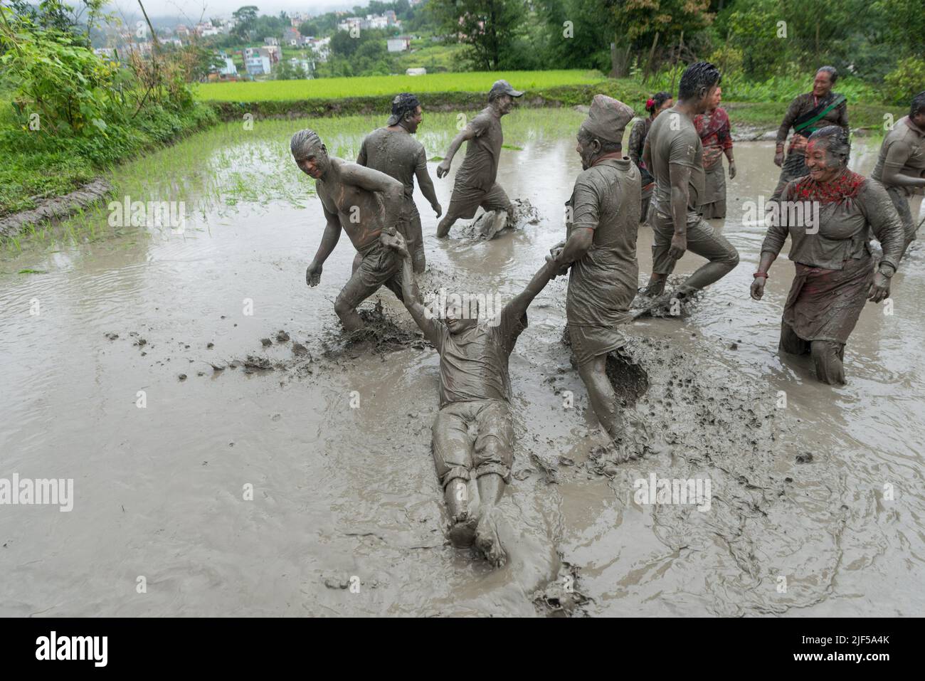 People play in mud water in a paddy field during the National paddy day ...