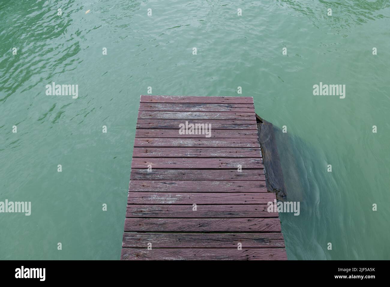 Top view of wooden deck prominent onto the see Stock Photo - Alamy