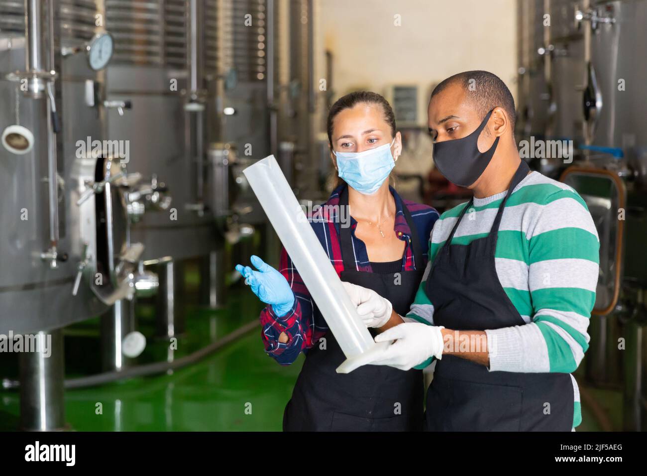 Two winemakers checking winemaking process at factory Stock Photo - Alamy