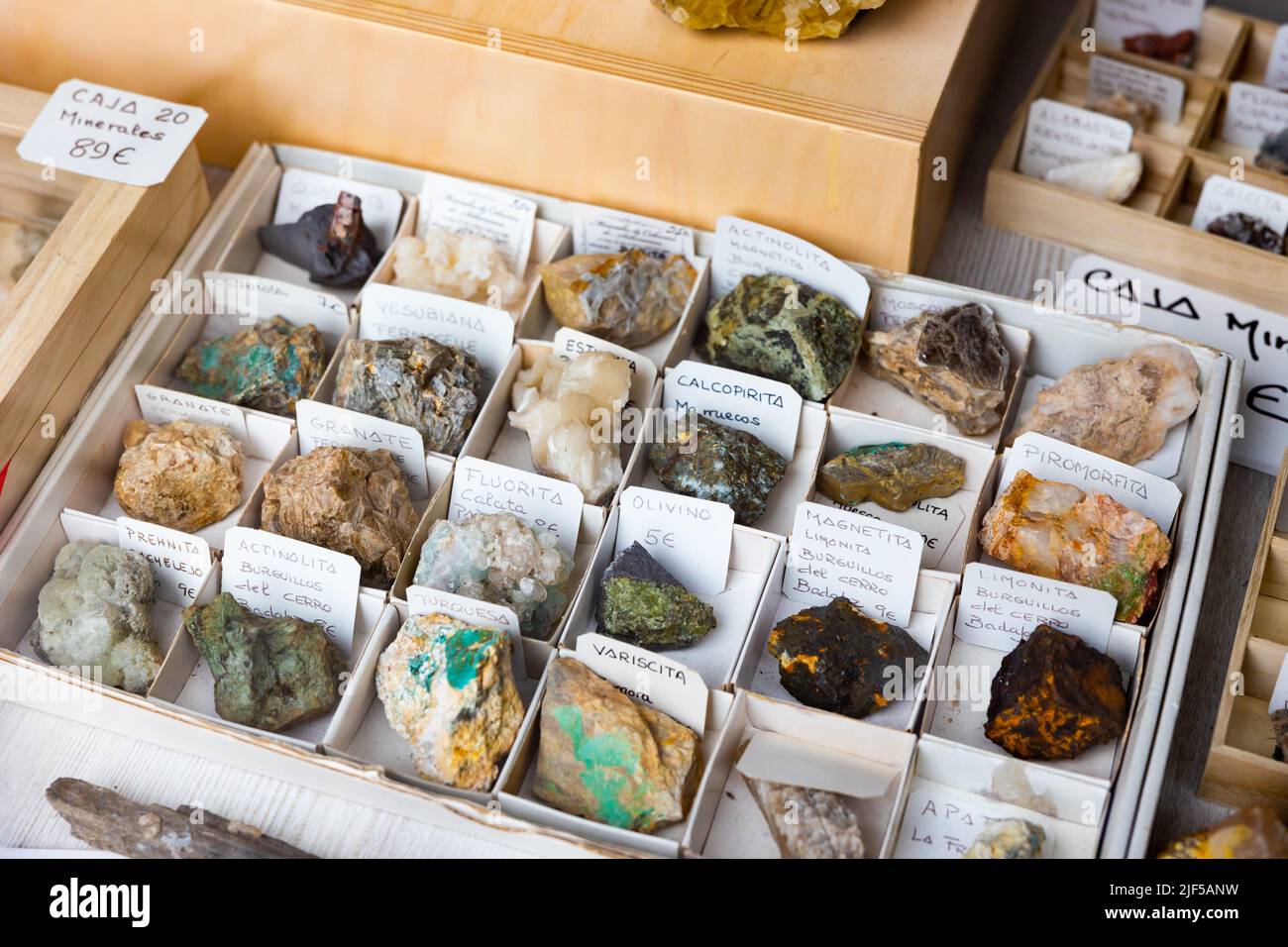 Fossil and mineral store hi-res stock photography and images - Alamy