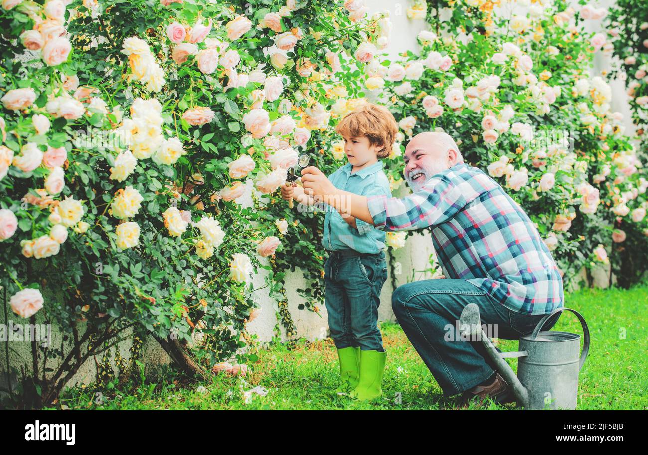 Grandfather and grandson. Old and Young. Concept of a retirement age ...