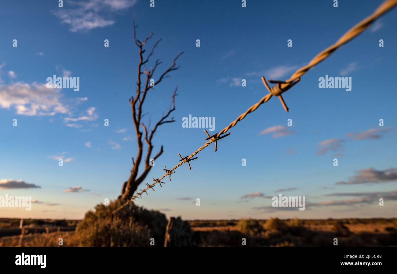 Australian farm scene hi-res stock photography and images - Alamy