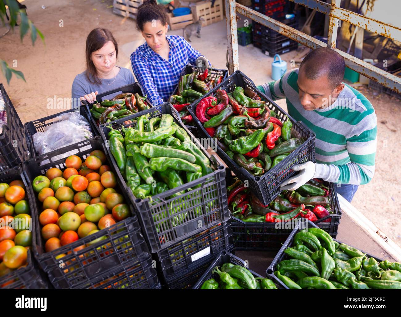 Peppers Lemont Auto Care at Jeff Chavis blog