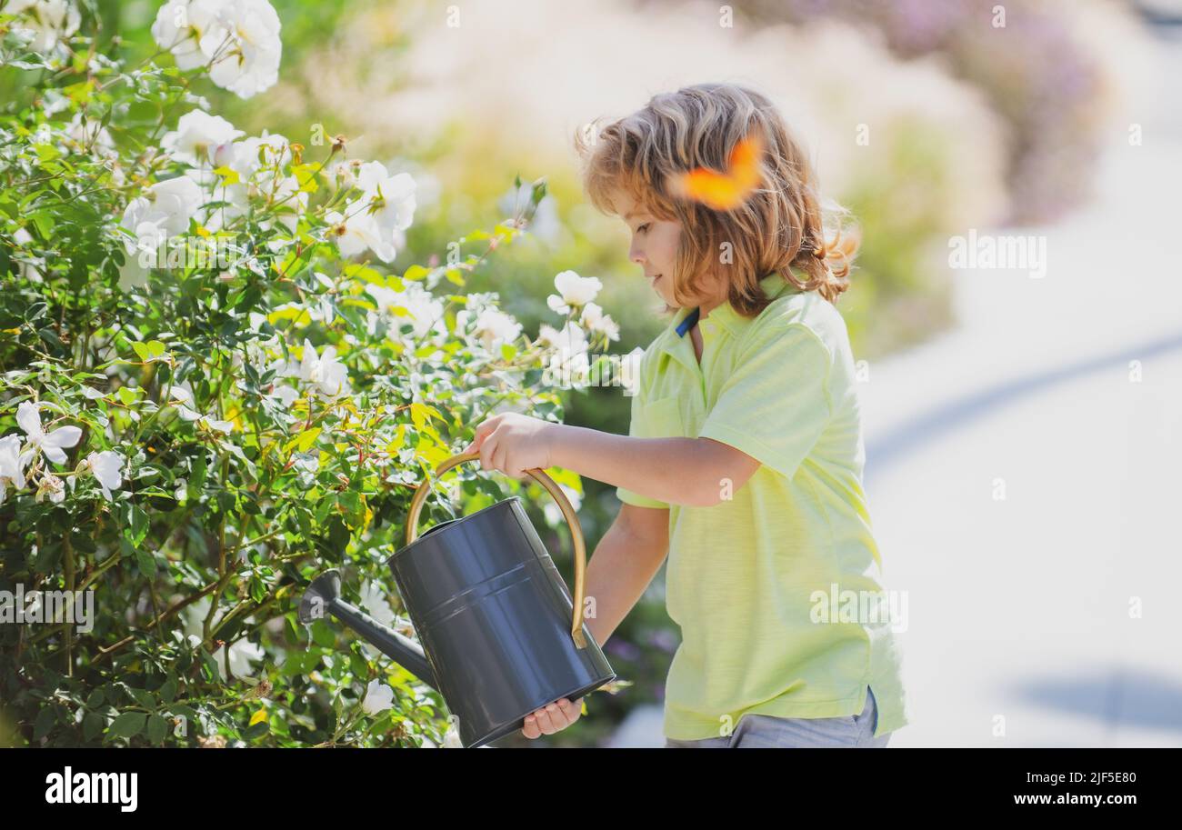 Cute kid watering flowers in the garden at summer day. Child using ...