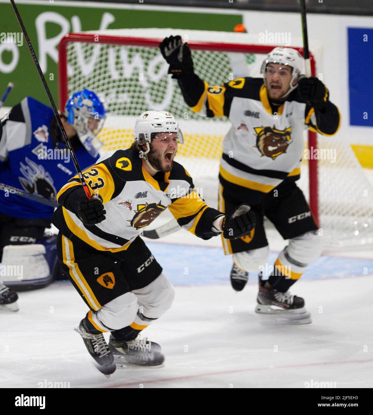 Hamilton Bulldogs' Mason McTavish, 23, and teammate Avery Hayes, 13 ...