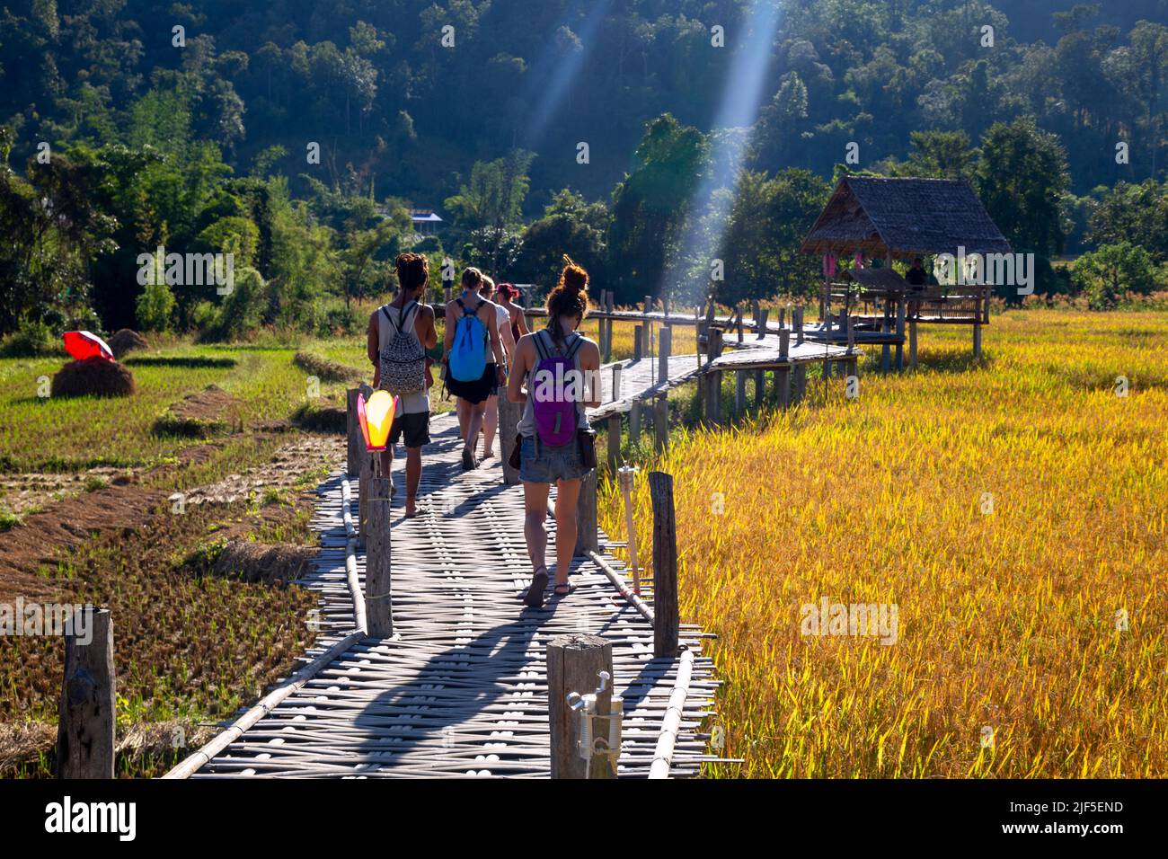 Stunning scenic landscape of the famous Boon Ko Ku So (Kho-Ku-So ...