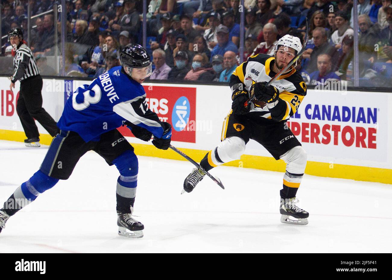 Saint john sea dogs hi-res stock photography and images - Alamy