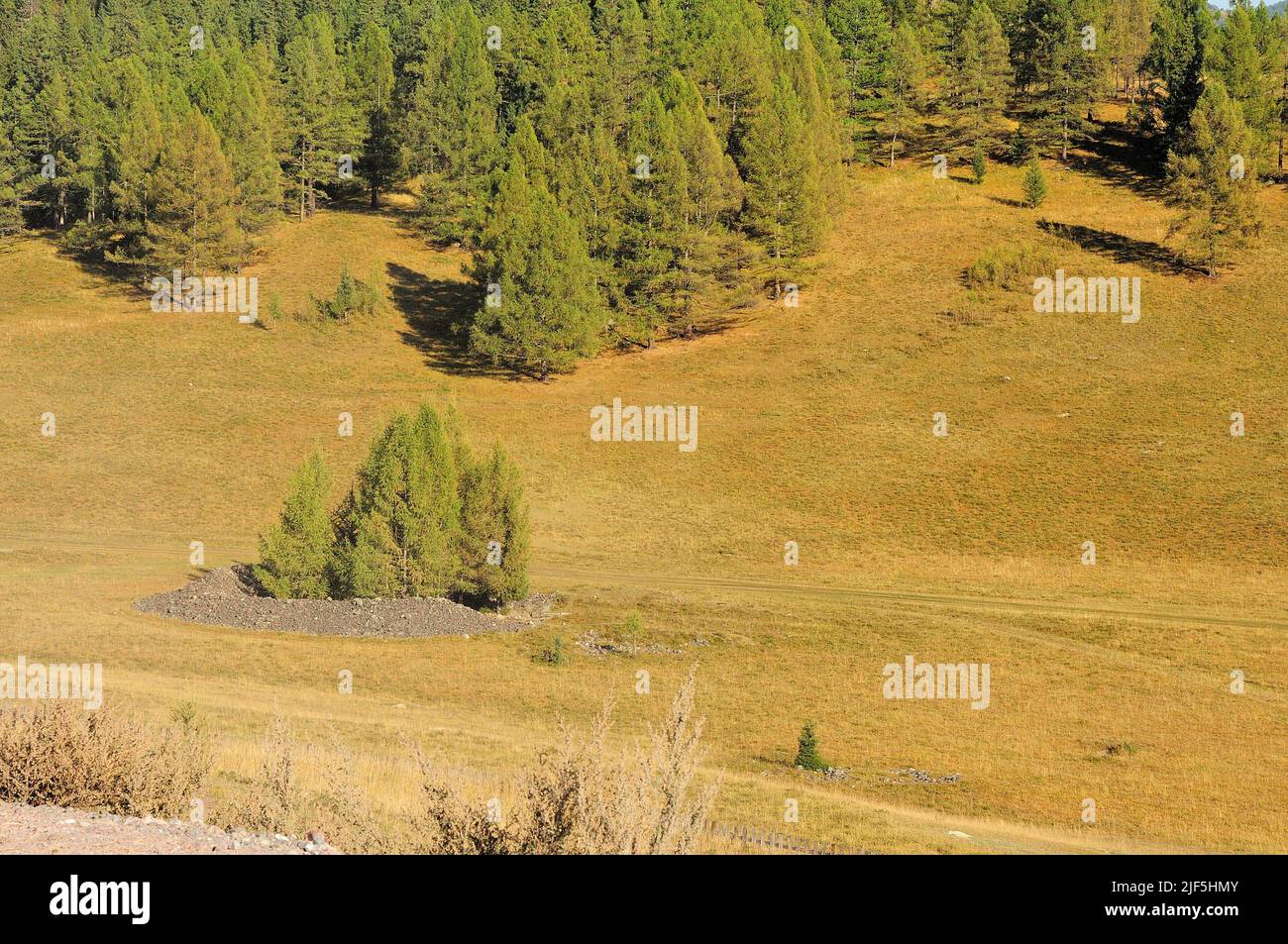 Plundered tomb hi-res stock photography and images - Alamy