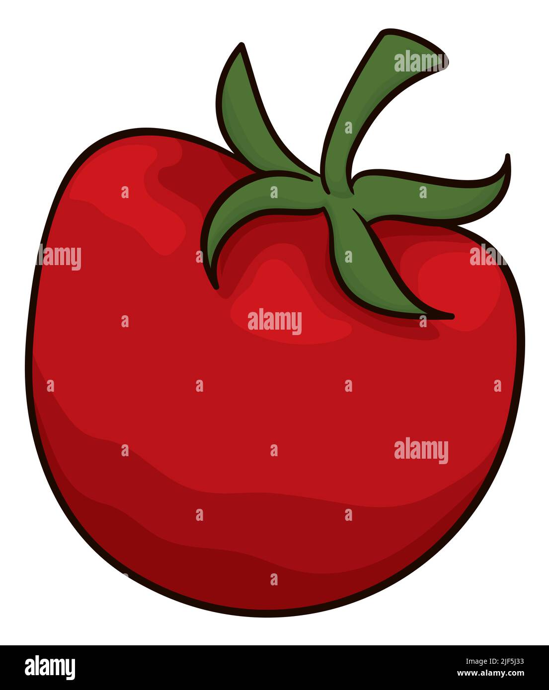 Delicious and fresh tomato with pedicel, sepal and vibrant red color in ...