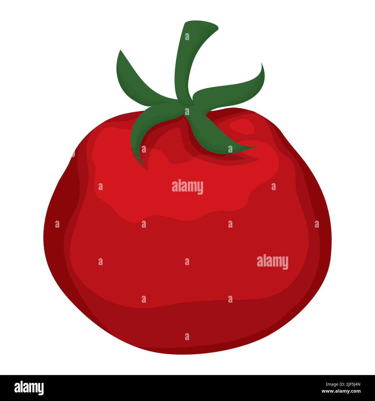 Solanum lycopersicum tomato Stock Vector Images - Alamy