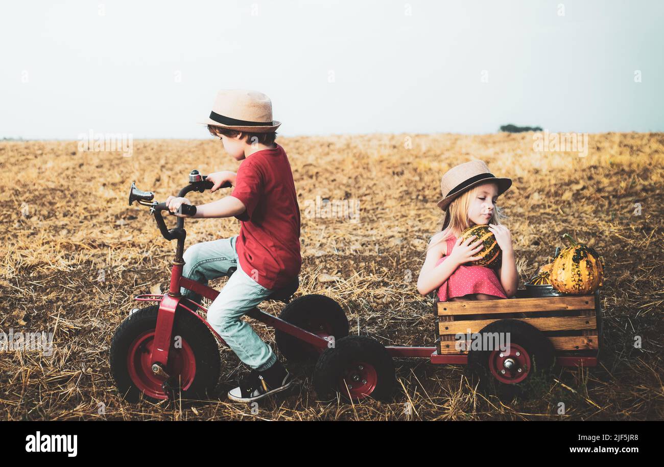 Children play outdoors. Enjoy moment. Happy moments. Copy space. Child ...