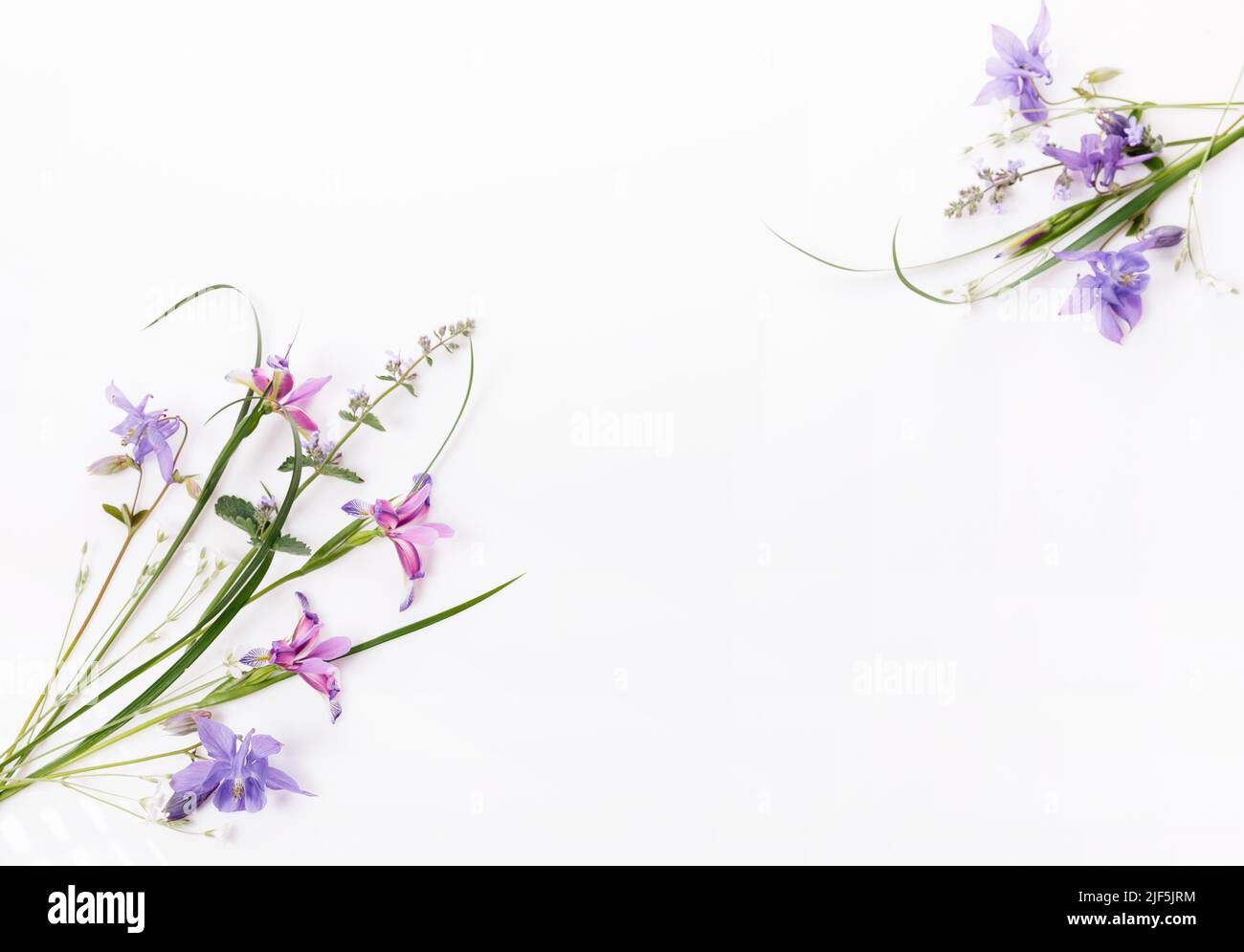 Creative layout flowers Cut Out Stock Images & Pictures - Alamy