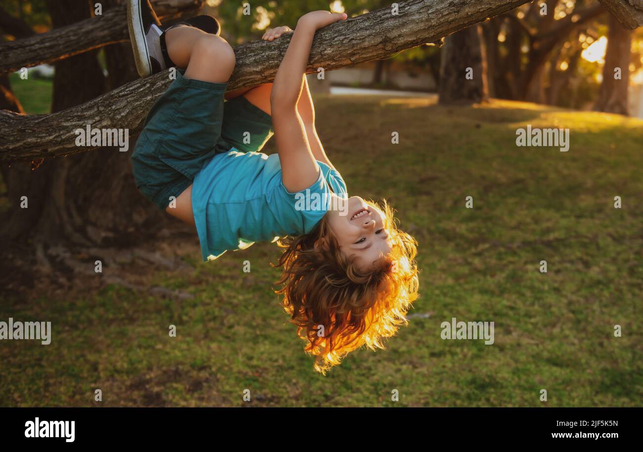 Funny climbing boy. Kid climb high tree in summer park Stock Photo - Alamy