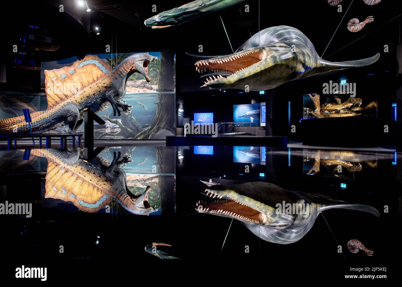 Wilhelmshaven, Germany. 22nd June, 2022. The life-size models of ...