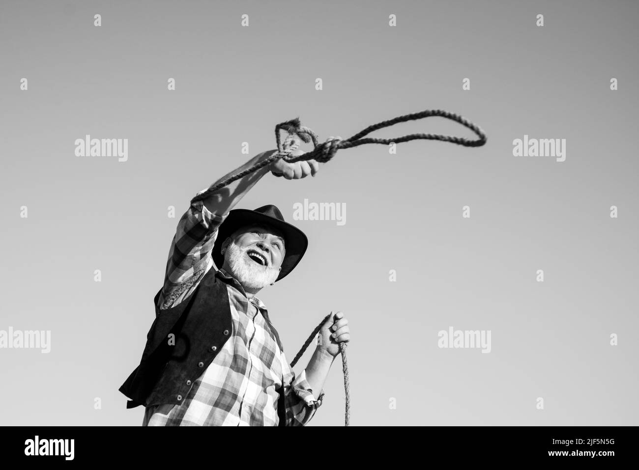 Attractive cattle Black and White Stock Photos & Images - Alamy