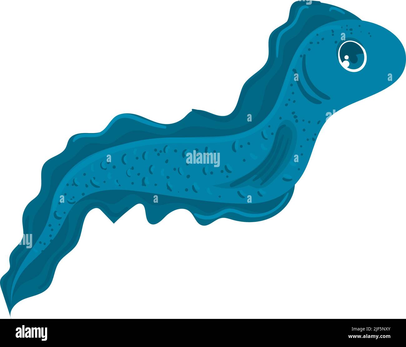 Eel reef Stock Vector Images - Alamy