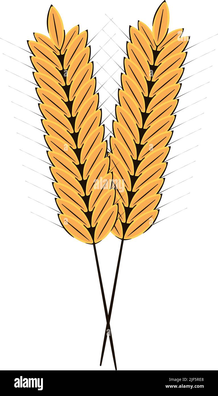 wheat spikes icon Stock Vector Image & Art - Alamy