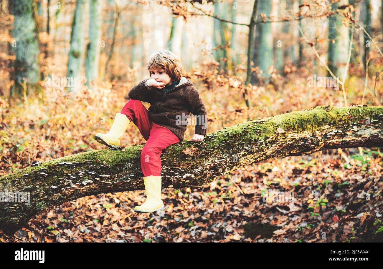 Kid in autumn forest. Child playing in Fall Leaves outdoor. Childhood ...