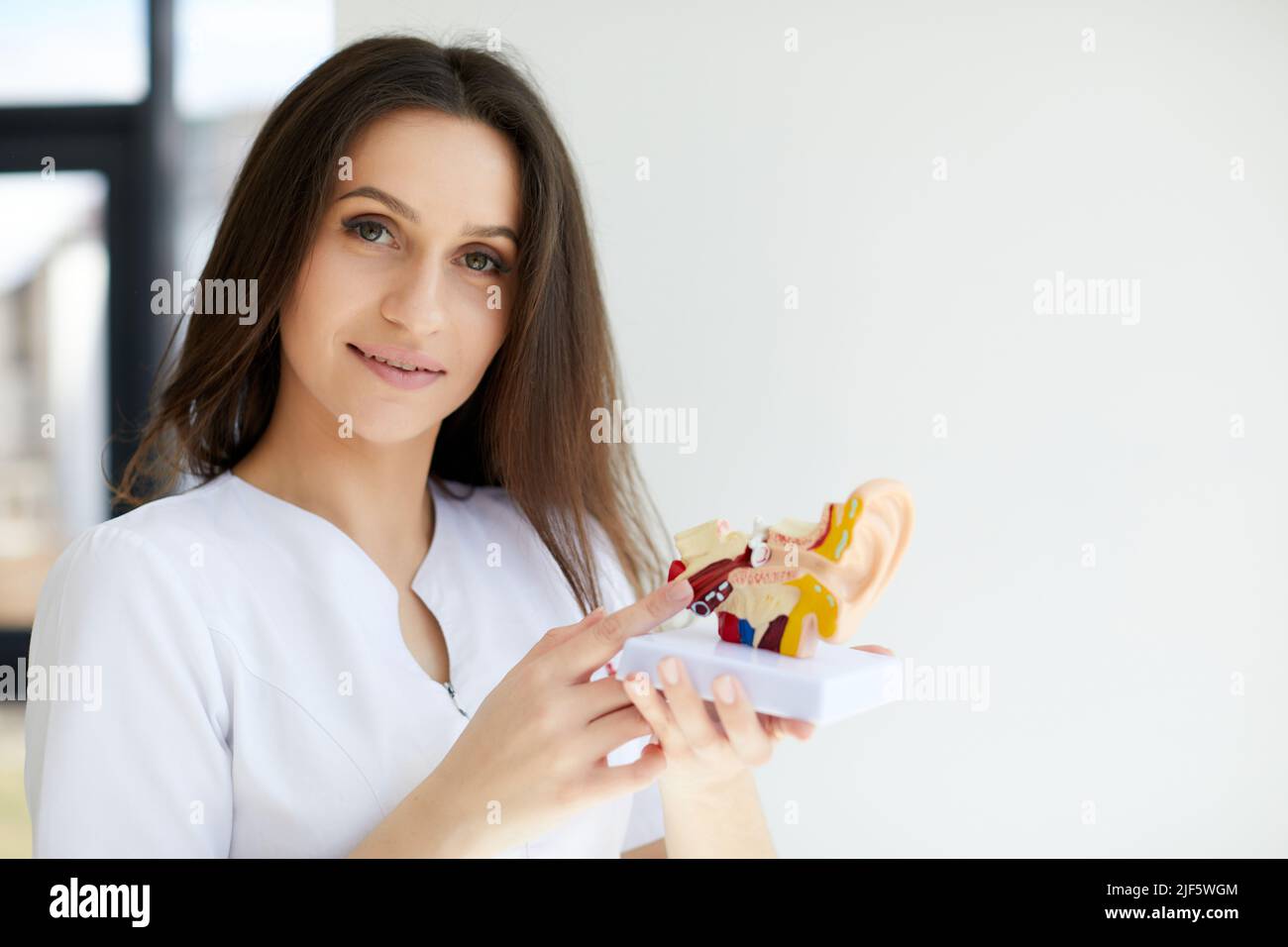 Doctor telling and showing internal structure of ear Stock Photo - Alamy