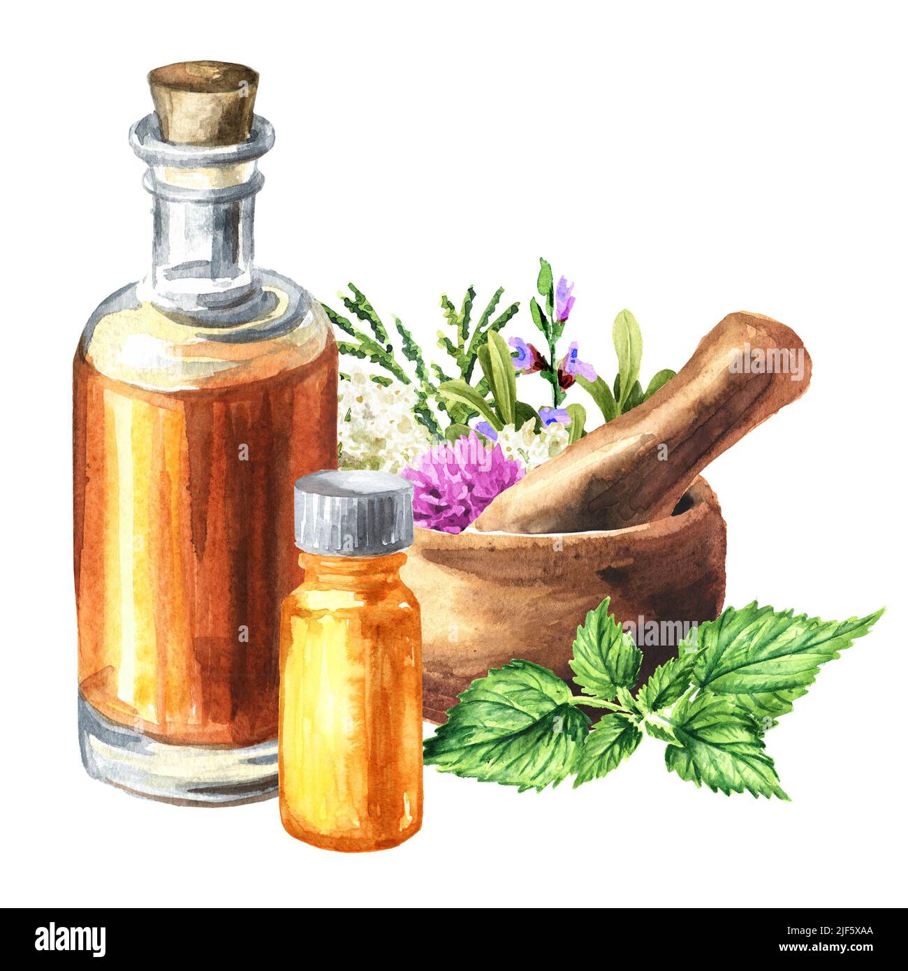 Medicinal plants extract . Alternative medicine, herbal collection ...