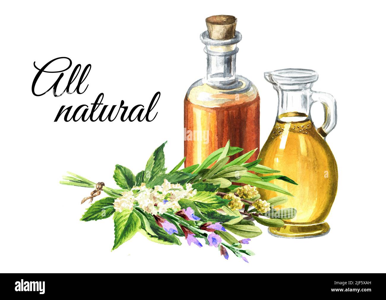 Medicinal plants extract and tincture. Alternative medicine, herbal ...