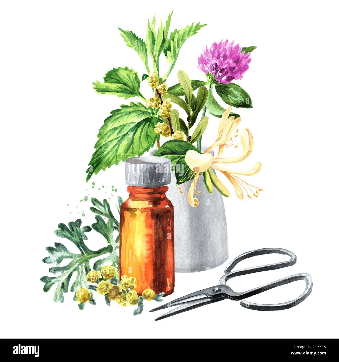 Medicinal plants extract. Alternative medicine, herbal collection. Hand ...