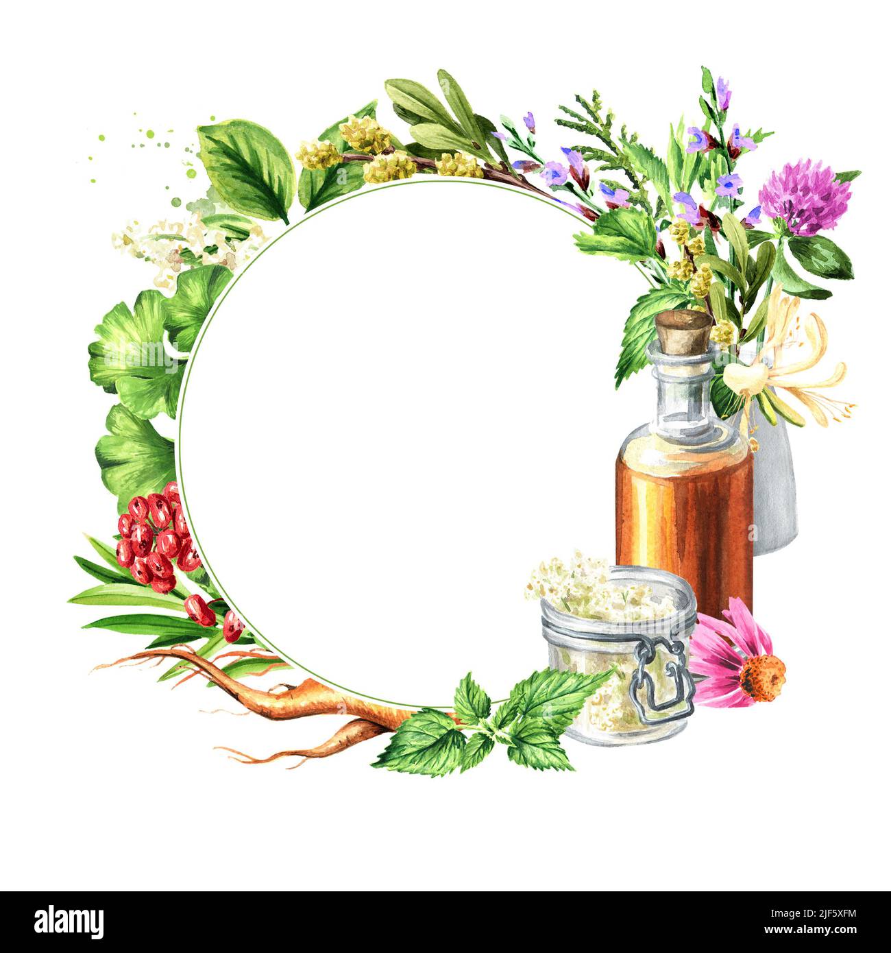 Medicinal plants for Herbal homemade organic tincture template ...