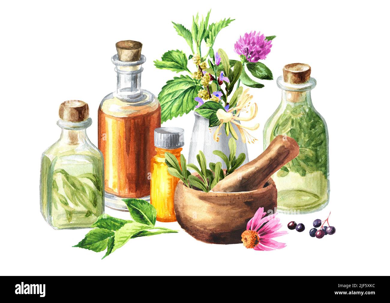 Medicinal plants for Herbal homemade organic tincture. Alternative ...