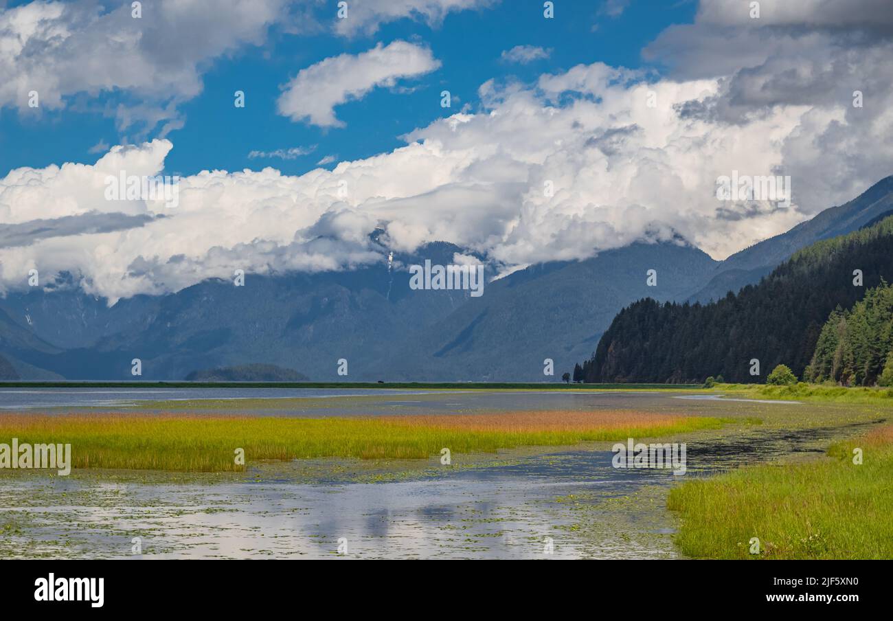Landscape with mountains, forest and a river in front. Beautiful summer ...