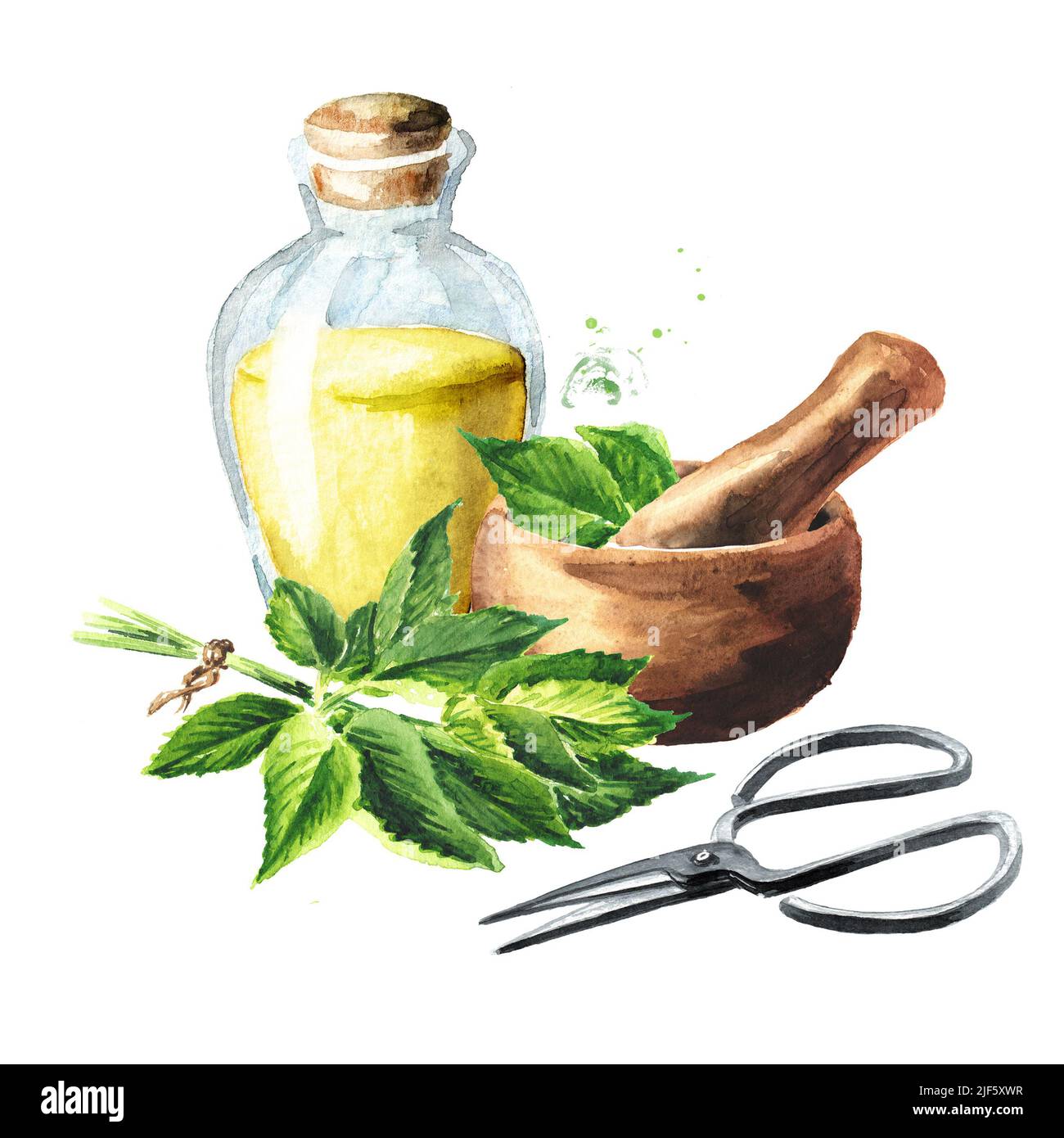 Medicinal plants, Herbal homemade organic tincture . Alternative ...