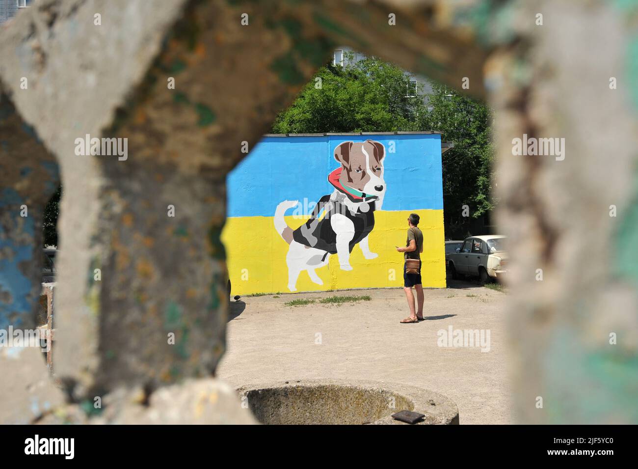 Patron dog hi-res stock photography and images - Alamy