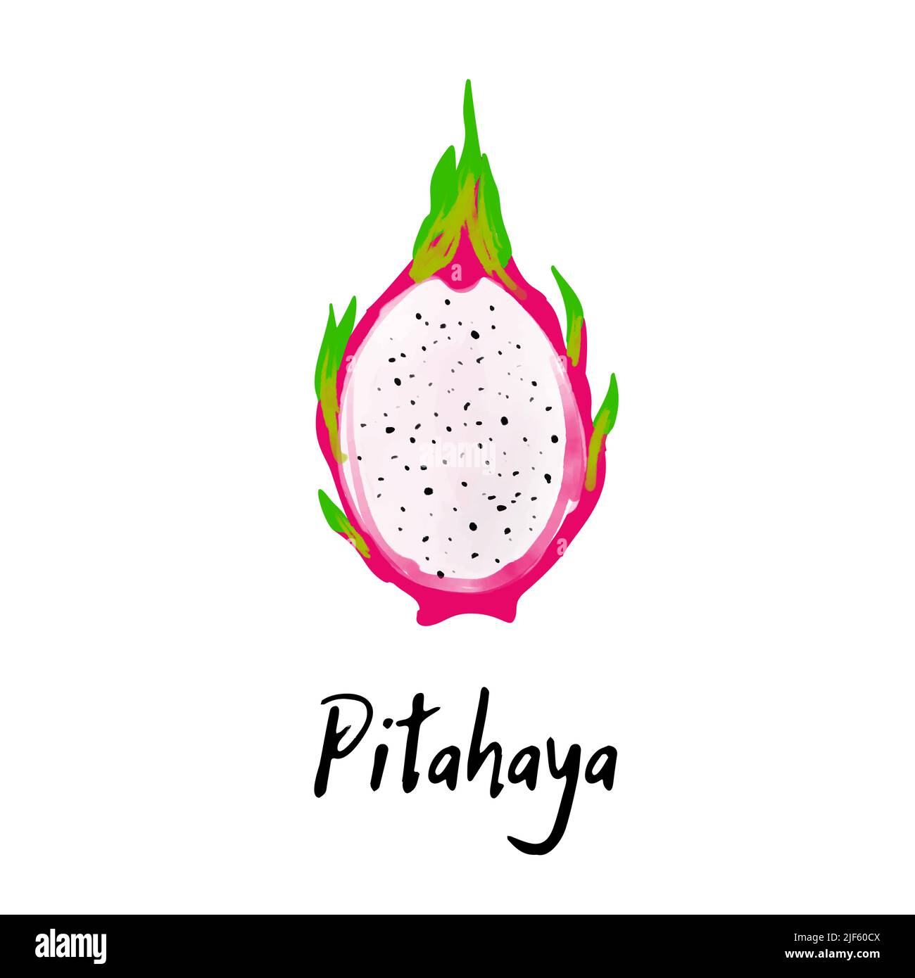 Illustration of a pitahaya isolated on a white background Stock Vector ...