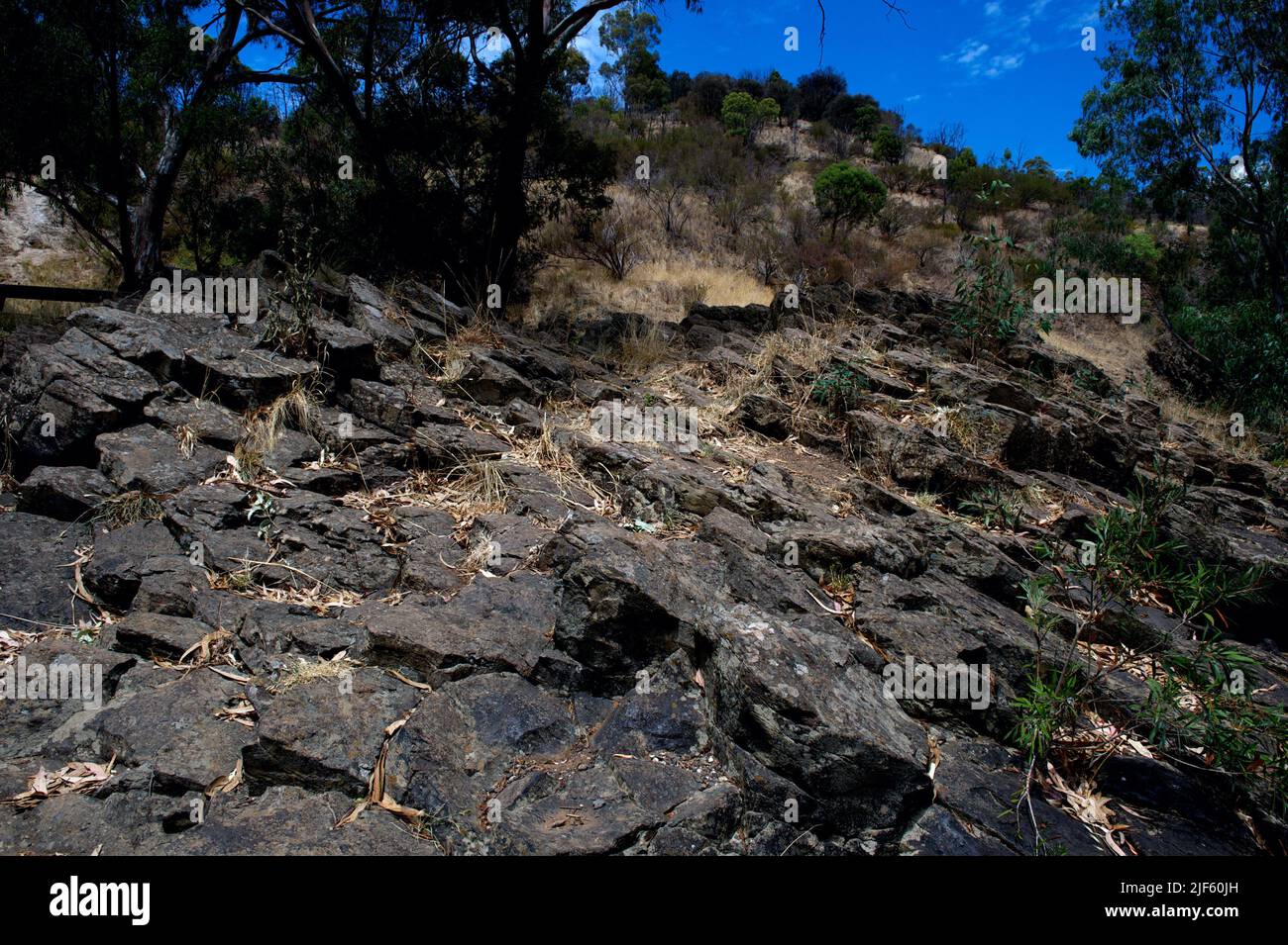 Old lava flows are everywhere at the Organ Pipes National Park. This ...