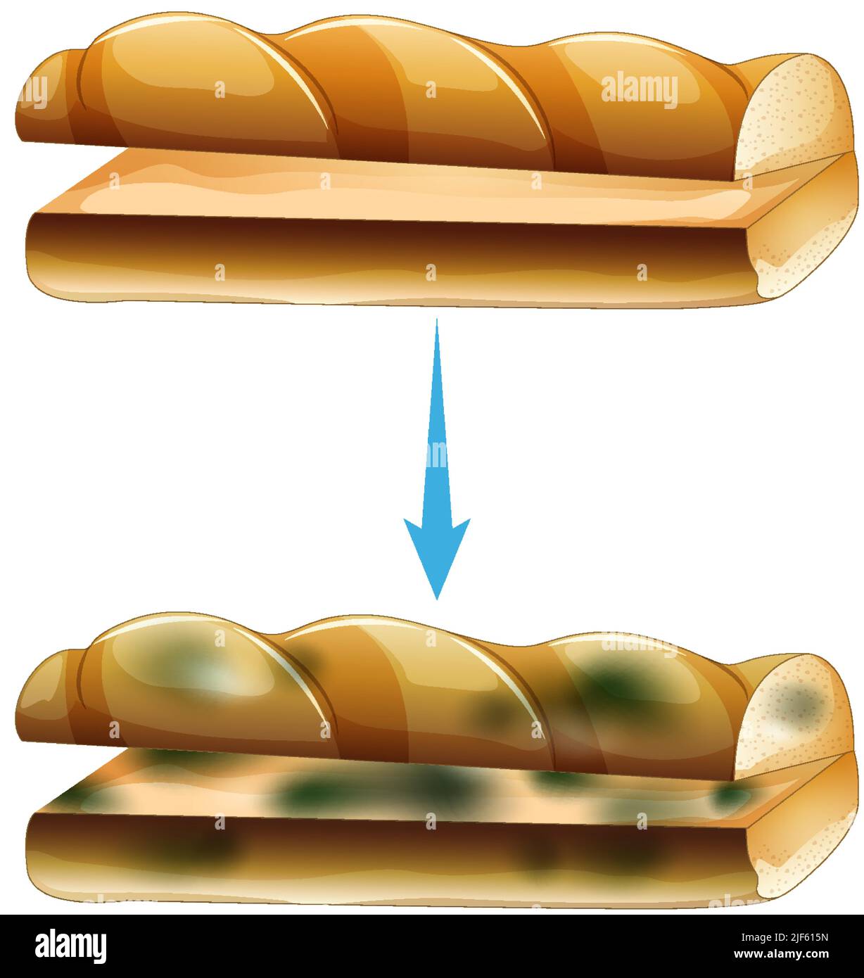 Rotten bread Stock Vector Images - Alamy