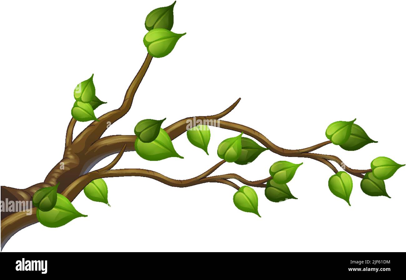 Tree branch isolated on white background illustration Stock Vector ...