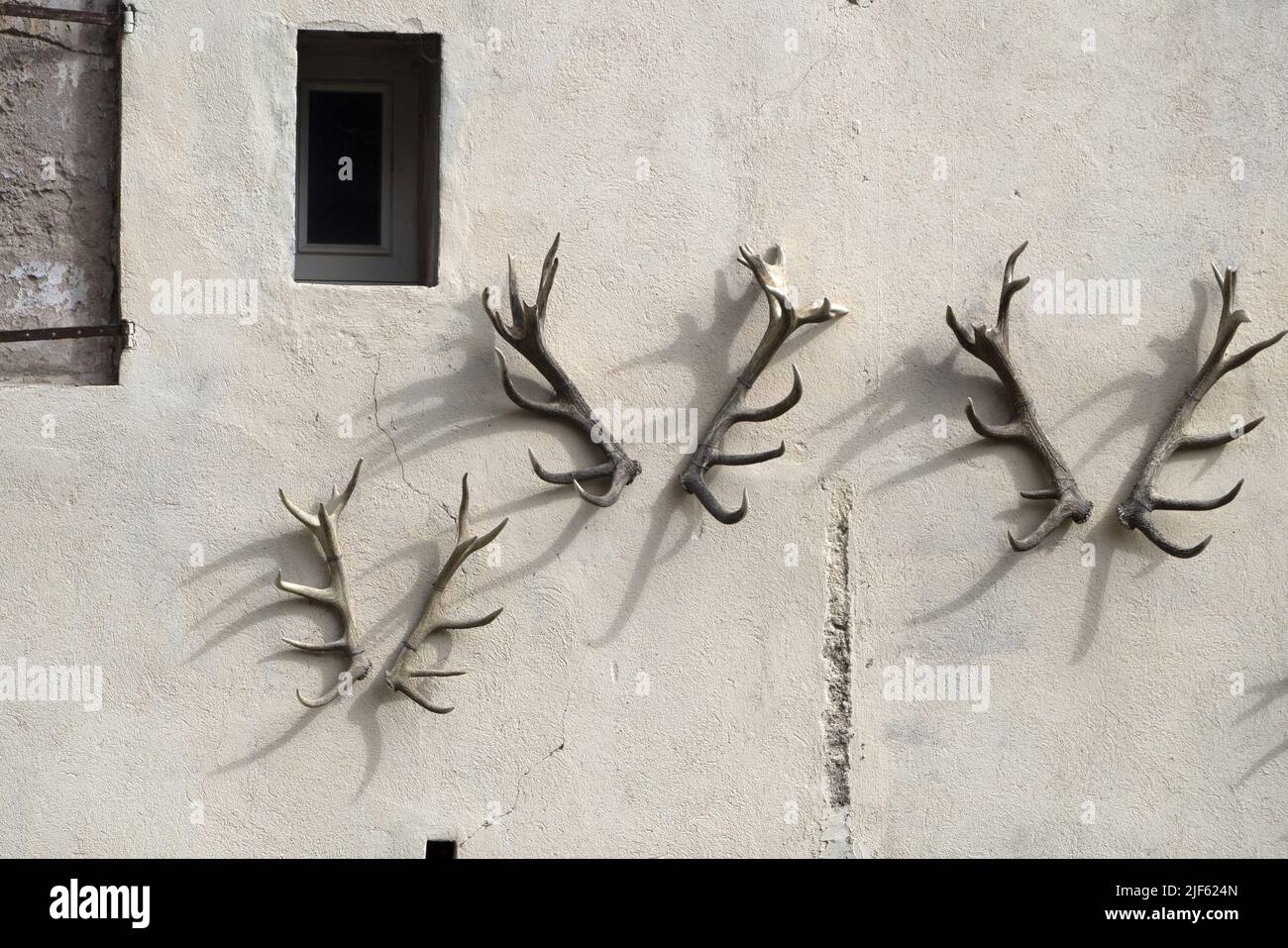 deer antlers on building wall detail Stock Photo - Alamy