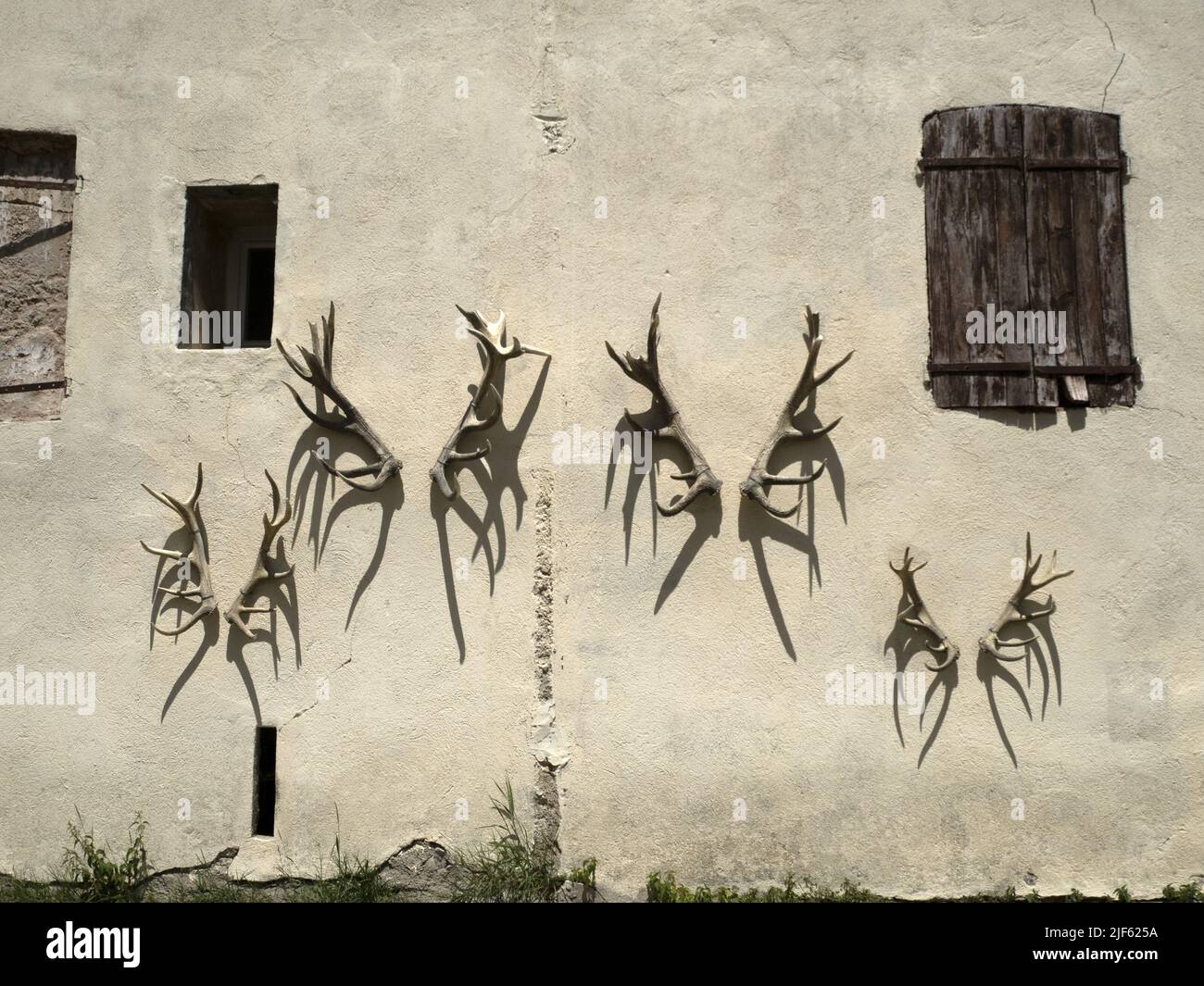 deer antlers on building wall detail Stock Photo - Alamy
