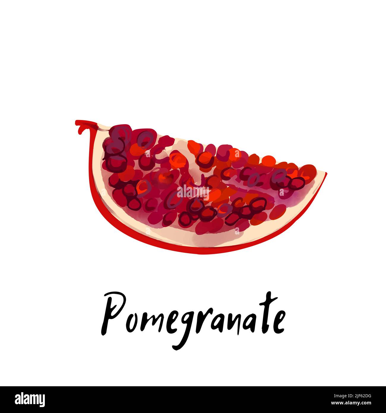Illustration of a cut pomegranate isolated on a white background Stock ...