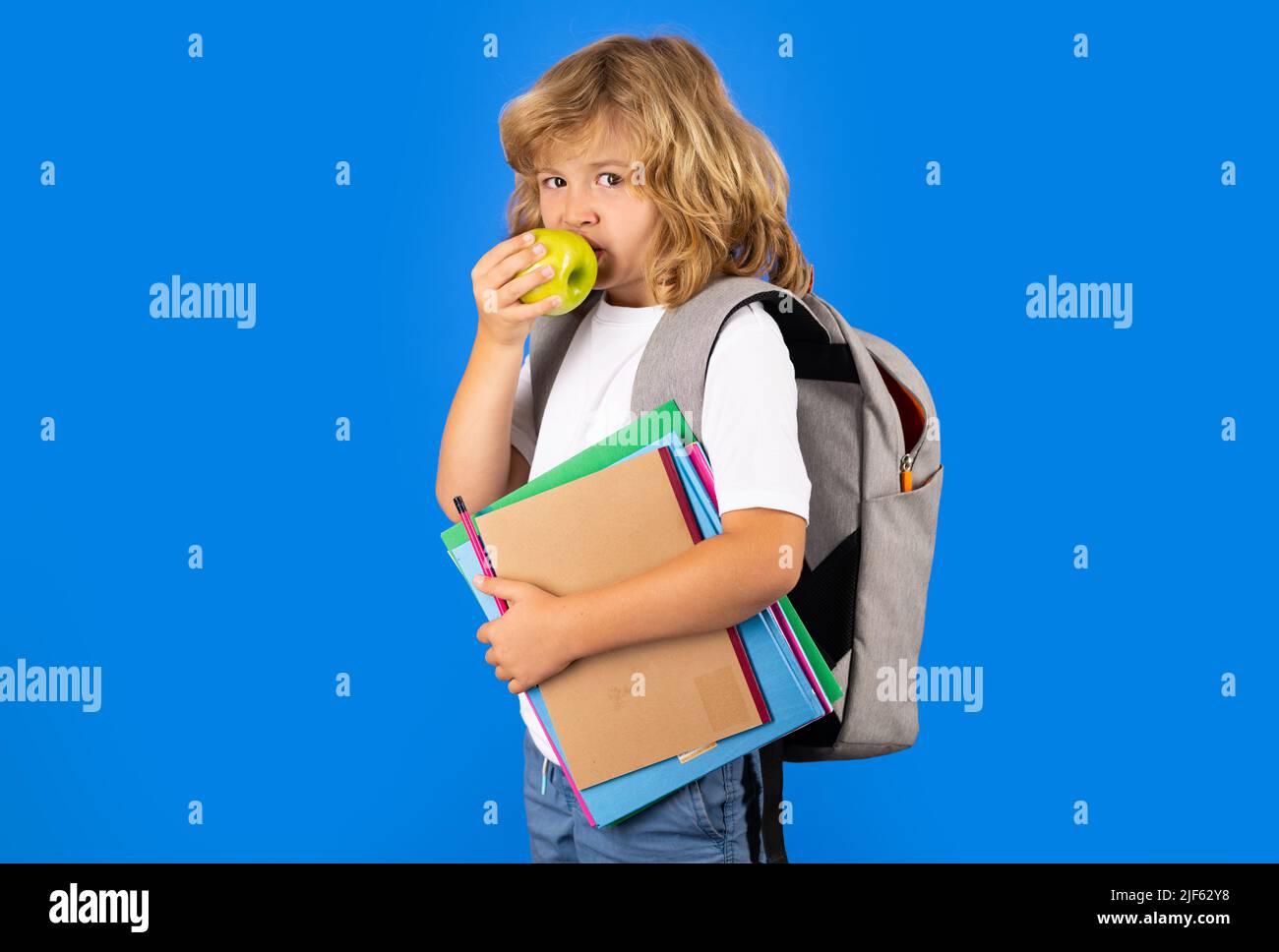 Portrait of pupil student hold book on blue isolated studio background ...