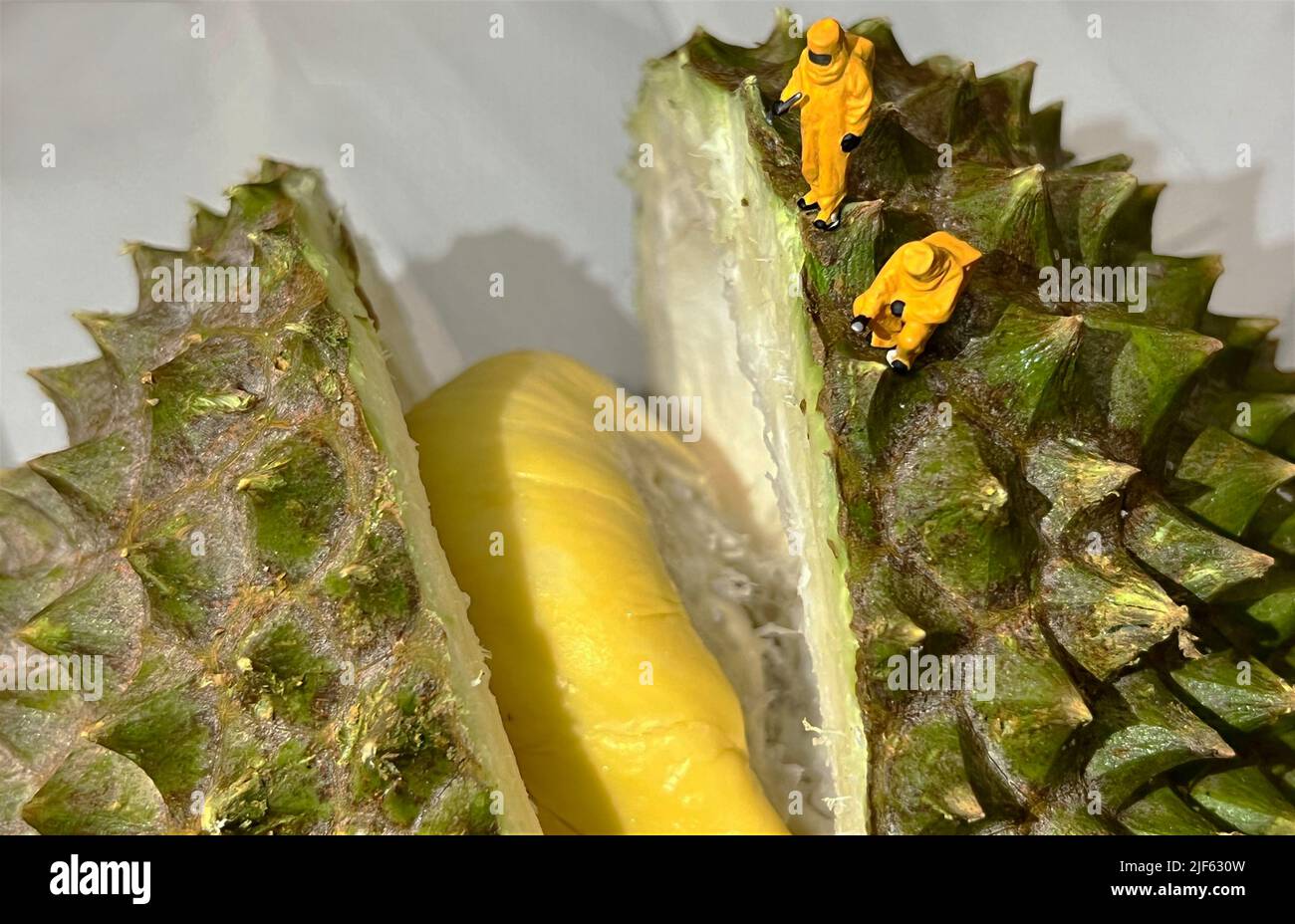 Smelly stinking hi-res stock photography and images - Alamy