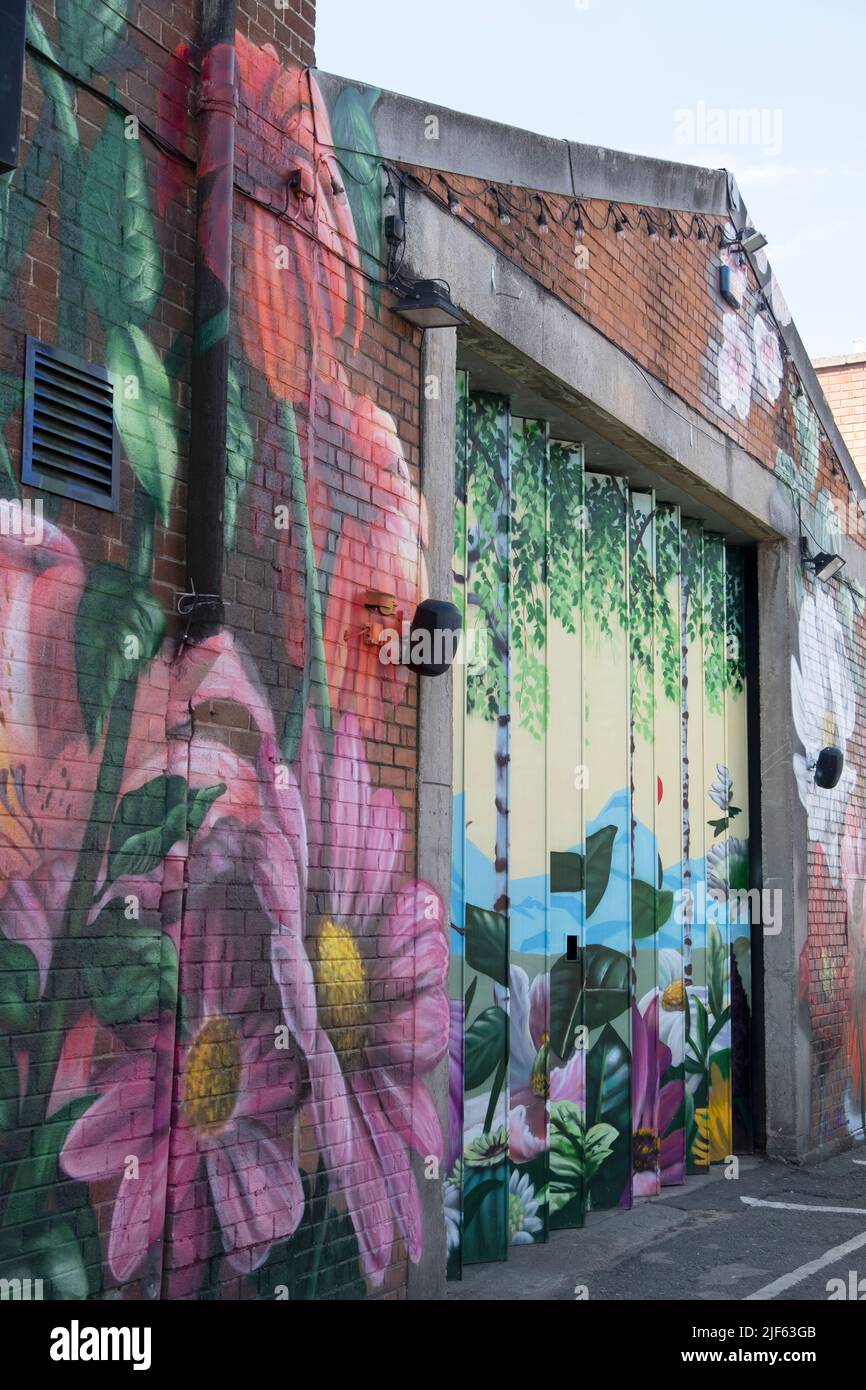 Best of the street art in Liverpool,England Stock Photo - Alamy
